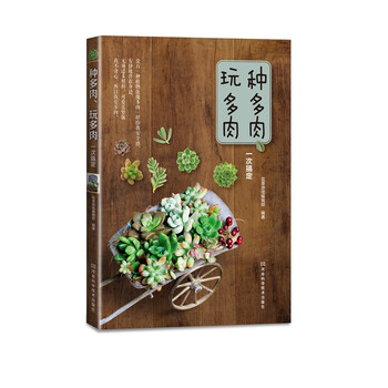 种多肉玩多肉一次搞定