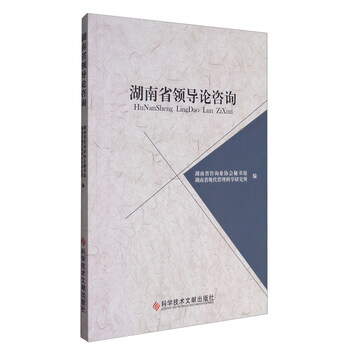 湖南省领导论咨询