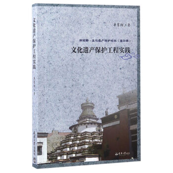 文化遗产保护工程实践/新视野·文化遗产保护论丛