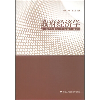 政府经济学