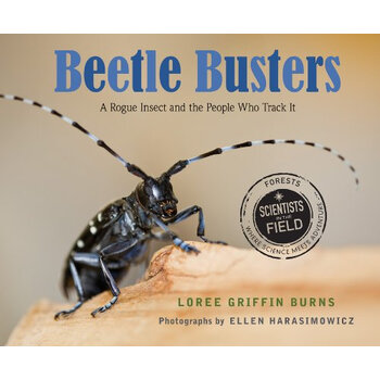 【】Beetle Busters
