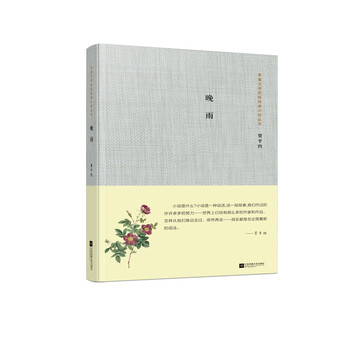 茅盾文学奖获奖者小说丛书：晚雨