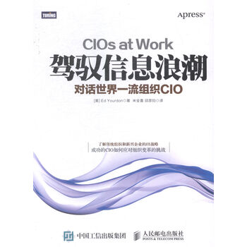 驾驭信息浪潮-对话组织CIO 书籍 计算机与互联网 IT人文 互联网