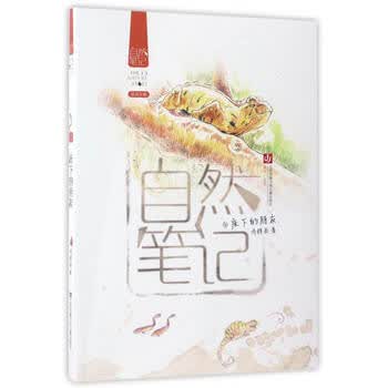 自然笔记：床下的朋友