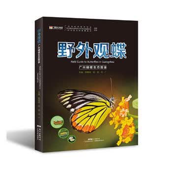 野外观蝶：广州蝴蝶生态图鉴 科普读物 陈锡昌杨骏刘广广东科技出版社9787535967220