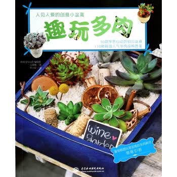 趣玩多肉(人见人爱的创意小盆栽)