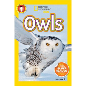 NGR OWLS 进口儿童绘本