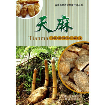 天麻/云南名特药材种植技术丛书