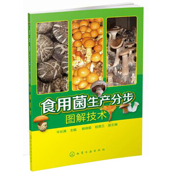 [正版图书]食用菌生产分步图解技术