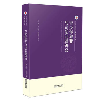 青少年犯罪与司法问题研究9787509381816
