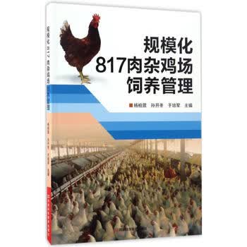 规模化817肉杂鸡场饲养管理
