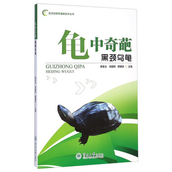 正版 龟中奇葩9787566813060