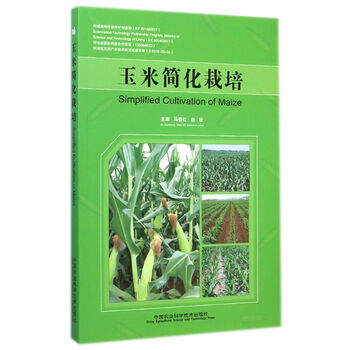 玉米简化栽培