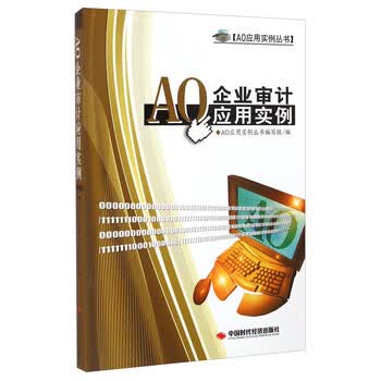 AO应用实例丛书：AO企业审计应用实例