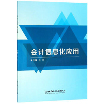 会计信息化应用