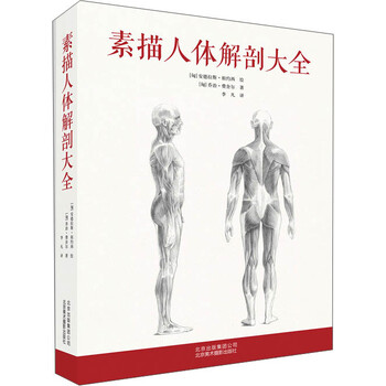 素描人体解剖大全
