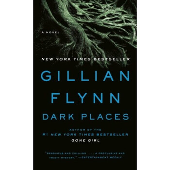 Dark Places: A Novel [Mass Market Paperb