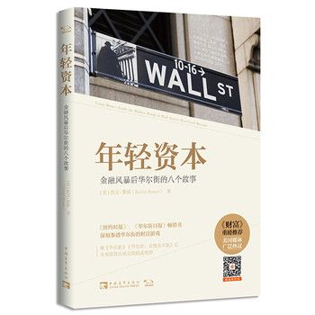 年轻资本：金融风暴后华尔街的八个故事