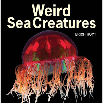 【】Weird Sea Creatures