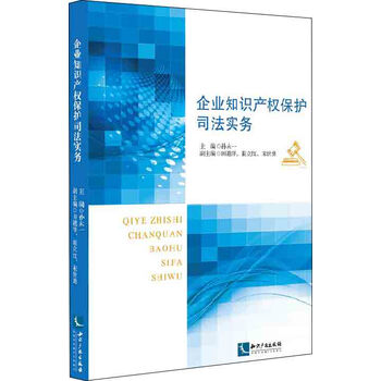 企业知识产权保护司法实务