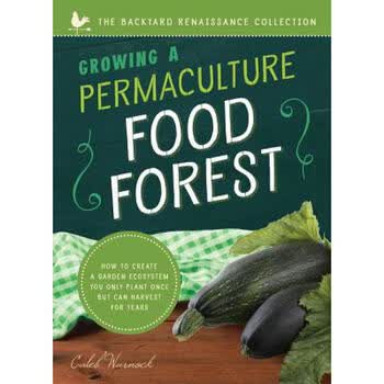 Growing a Permaculture Food Forest: How to C...