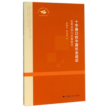 十字路口的中国社会组织：政策选择与发展路径