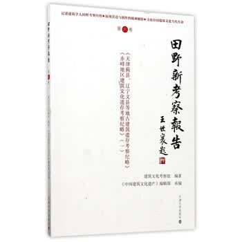 田野新考察报告(第6卷)
