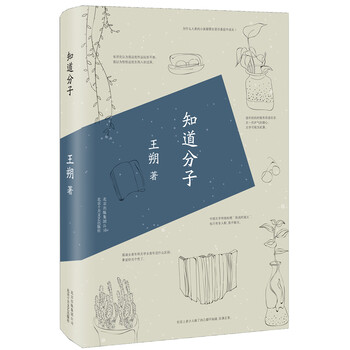 王朔:知道分子（2015版）