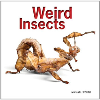 【】Weird Insects