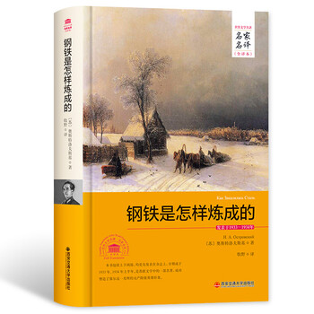 钢铁是怎样炼成的（世界文学名著 名家名译 全译本）