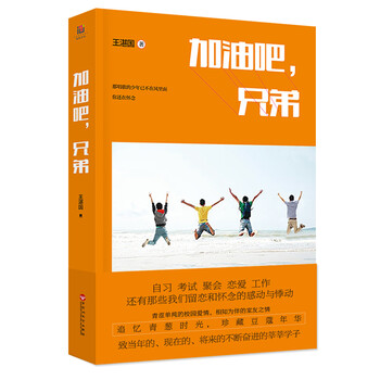 加油吧，兄弟 小说 书籍