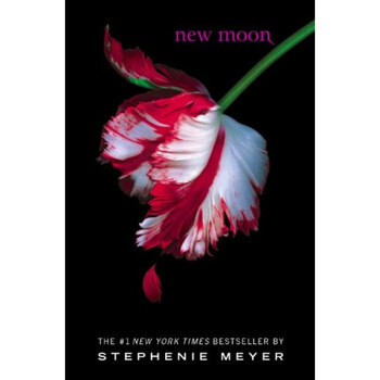 英文原版 新月 国际版暮光之城：第二部New moon