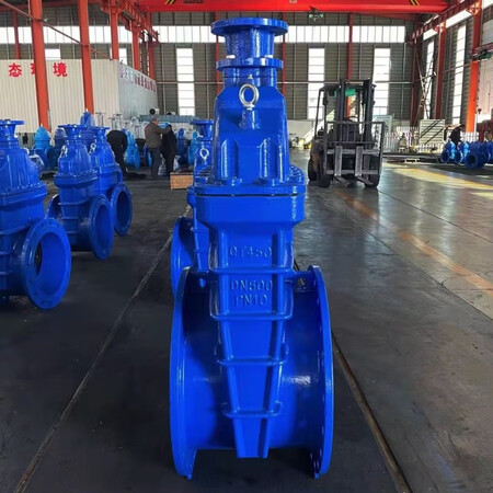 Z45X暗杆软密封法兰闸阀消防水阀门开关DN50 80 100 150 200 300 DN400长度406mm【图片 价格 品牌 报价】-京东