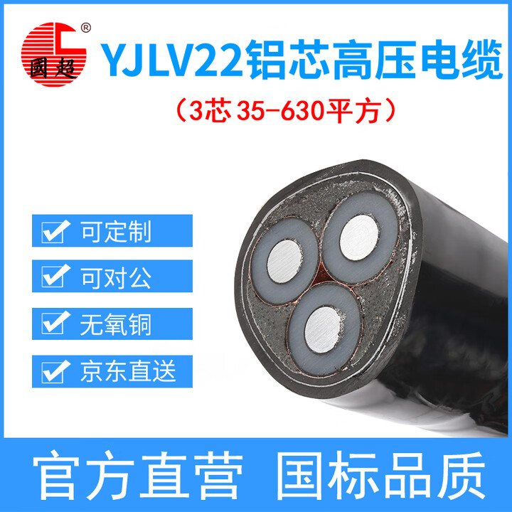 【國超YJLV22 3*300 8.7/15KV】国超铝高压电缆ZC-YJLV22-3*300平方国标8.7/15KV铝芯阻燃铠装地埋3芯高压 ...