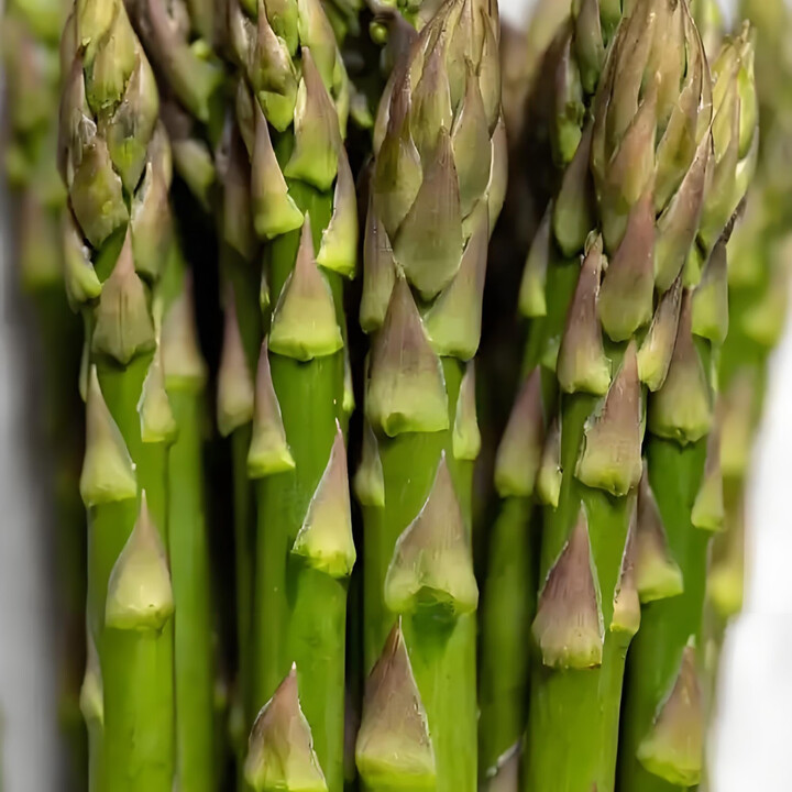 芦笋基地 新鲜芦笋 现采现发 快递送货到门次日达 大笋5斤【图片 价格 品牌 报价】-京东