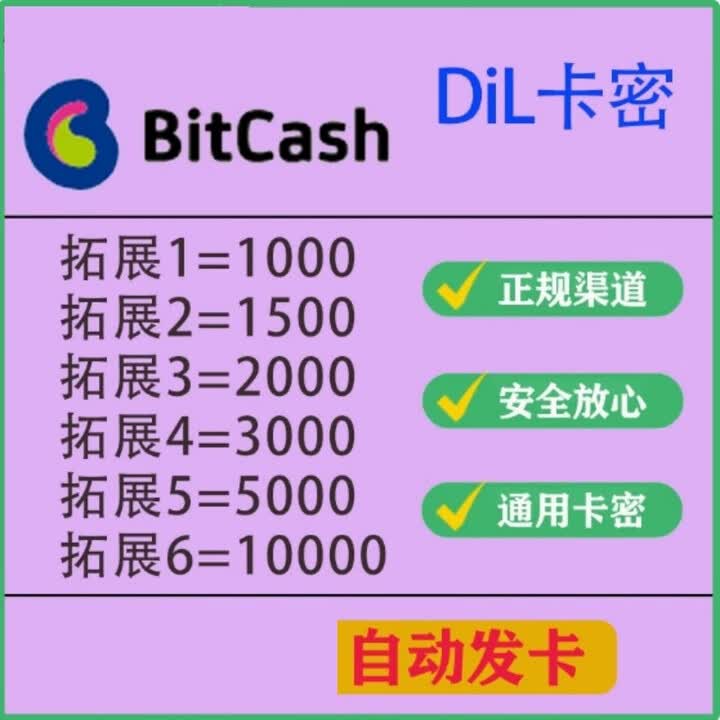 bitcash DL点数自动发卡 1000 2000 3000 5000 10000 卡密充值 DLC拓展4【图片 价格 品牌 报价】-京东