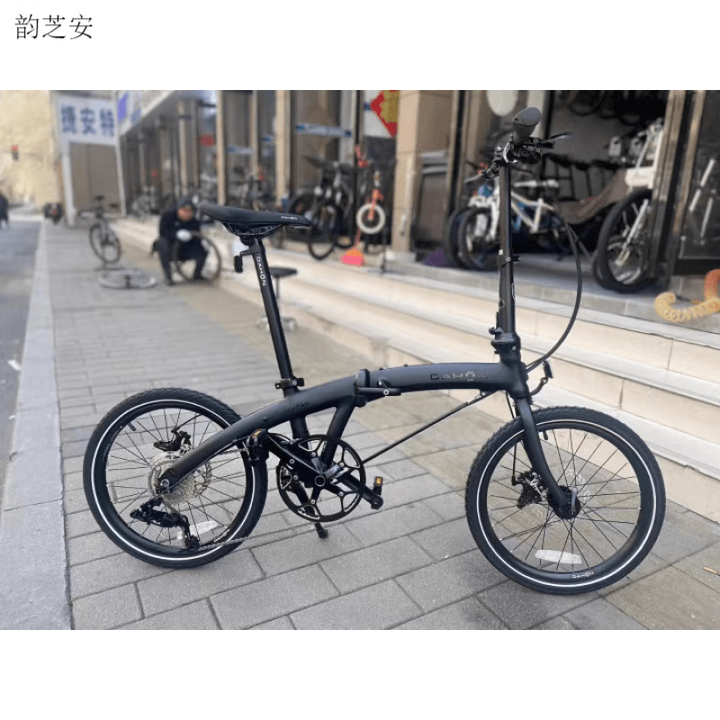 DAHON大行p10折叠自行车大行大行p10pro折叠车大行p8油压碟刹版 20英 升级中配版-消光黑色-禧玛诺油碟【图片 价格 品牌 报价】-京东