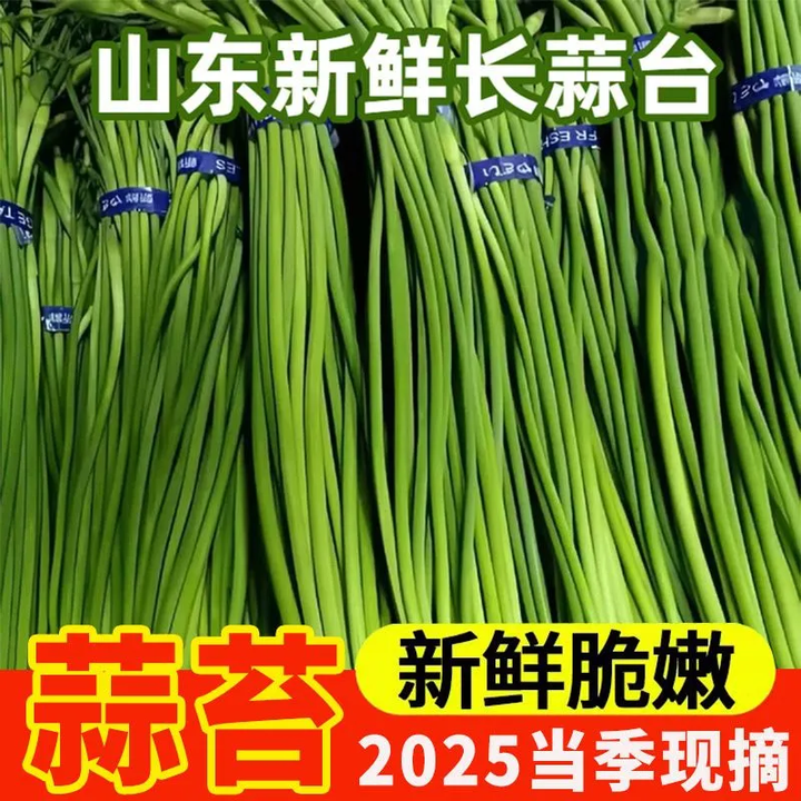 【净重现摘】2025新鲜蒜苔长款红帽白帽蒜薹蒜毫农家长嫩产地直发 3斤单根长约40cm（农家推荐）【图片 价格 品牌 报价】-京东