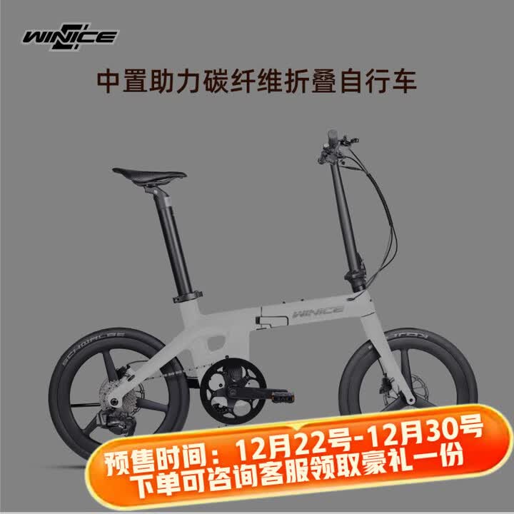 WINICE电助力折叠车中置马达自行车城市通勤男女士代步亲子骑行电变套件 珍珠白（10速/力矩传感/助力续航90KM 406轮组搭配1.75 ...