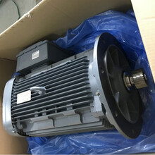 【sew电机】价格_图片_品牌_怎么样-京东商城