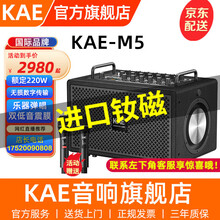 KAE音响旗舰店 - 京东