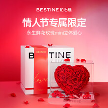 BESTINE柏治廷旗舰店 - 京东