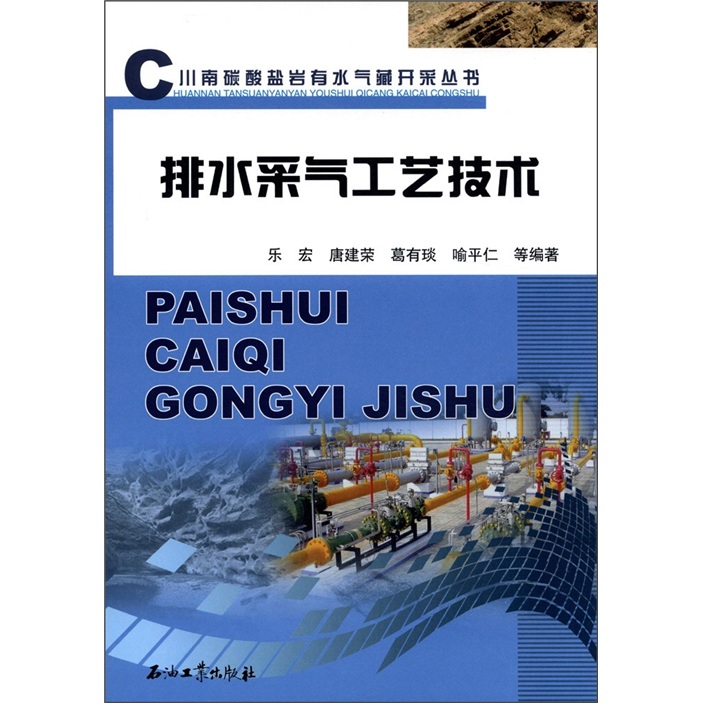 川南碳酸盐岩有水气藏开采丛书：排水采气工艺技术