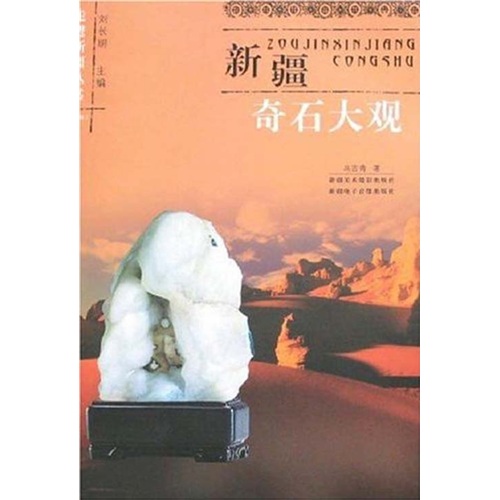新疆奇石大观9787807440482