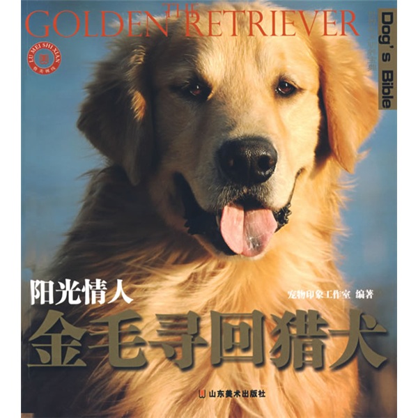 金毛寻回猎犬（阳光情人）