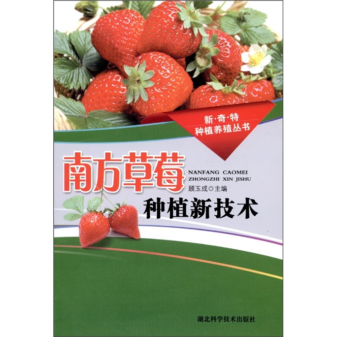 南方草莓种植新技术