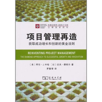 项目管理再造：获取成功增长和创新的黄金法则