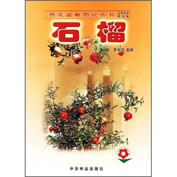 石榴