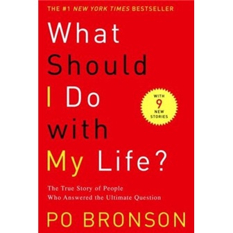 What Should I Do with My Life?