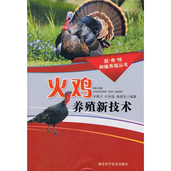 火鸡养殖新技术